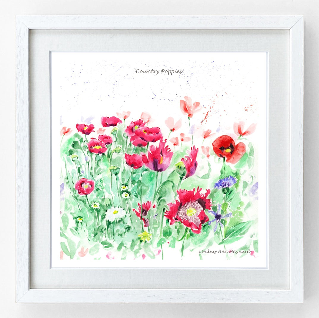 Fine Art Print - Country Poppies – Country Creation