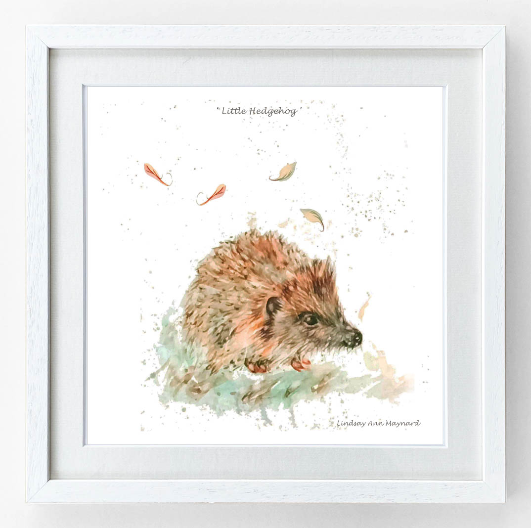 Fine Art Print - Little Hedgehog – Country Creation